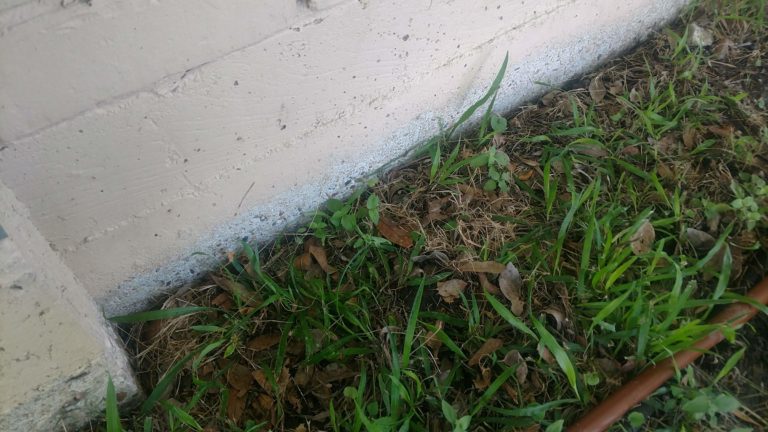 Watering Your Foundation – Foundation Watering Systems | Professional ...