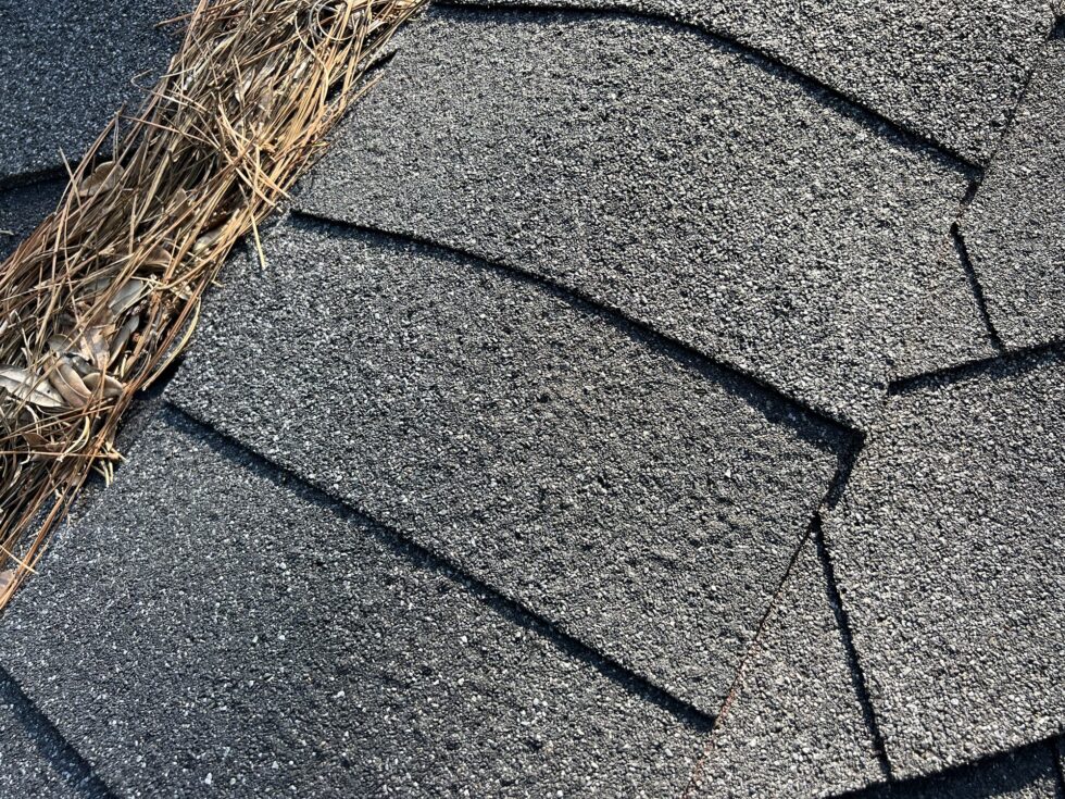 Blistering of Composition Shingles | Professional Engineering ...